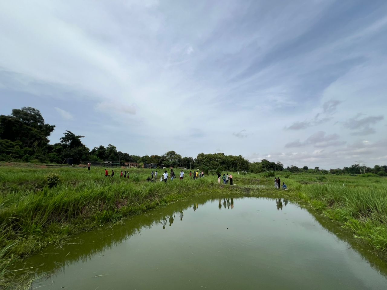 Aqua Callsult - Fisheries Consultancy